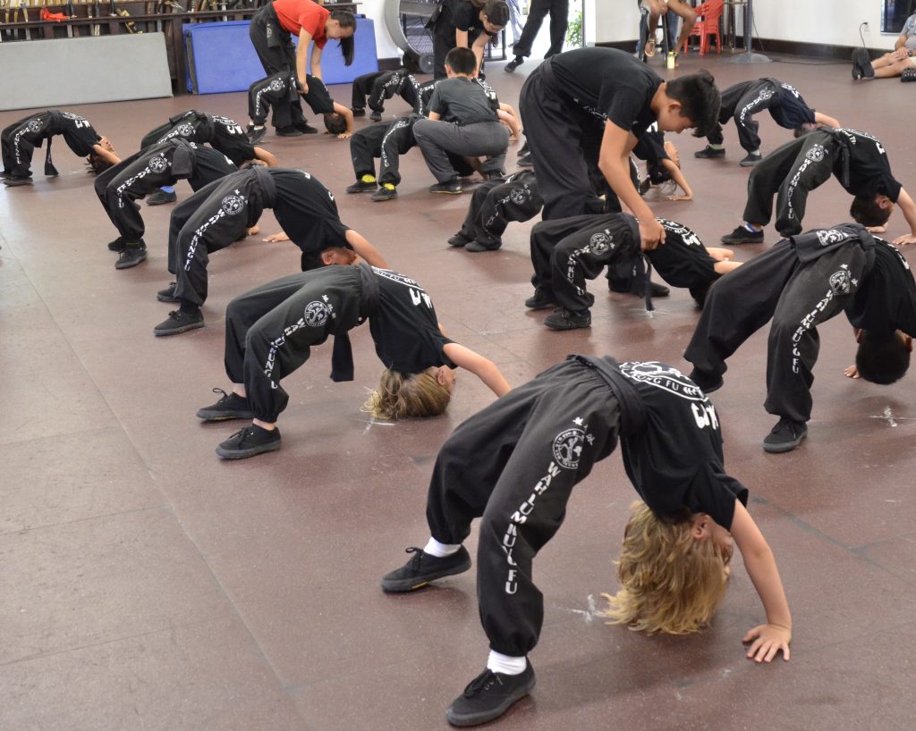 Programs - WAH LUM®