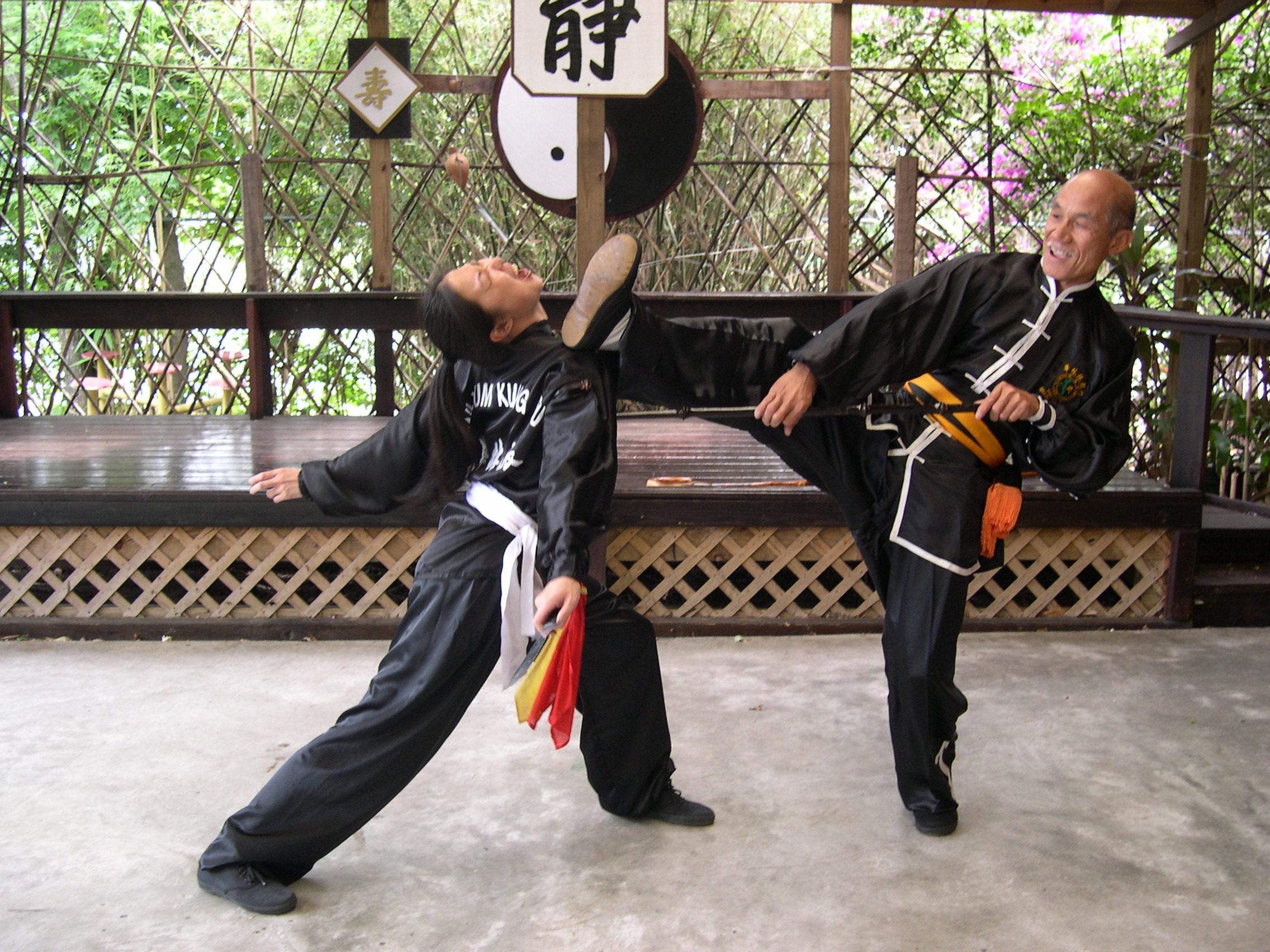 What is a Sifu? - WAH LUM®