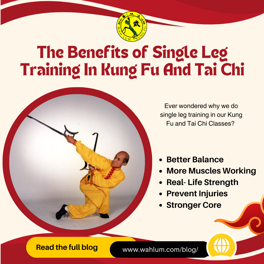 The Benefits of Single Leg Training In Kung Fu And Tai Chi - WAH LUM®