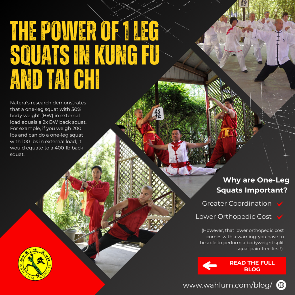 one-leg squats Archives - WAH LUM®