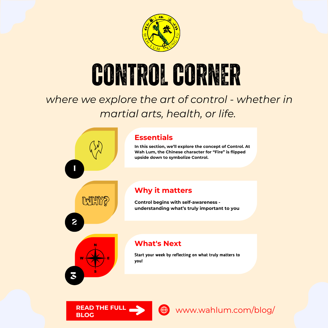 New blog post series: Control from Sifu Oscar - at the heart of Wah Lum ...