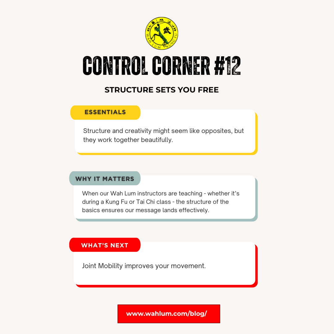 Control Corner 12 from Sifu Oscar: Structure Sets You Free - WAH LUM®