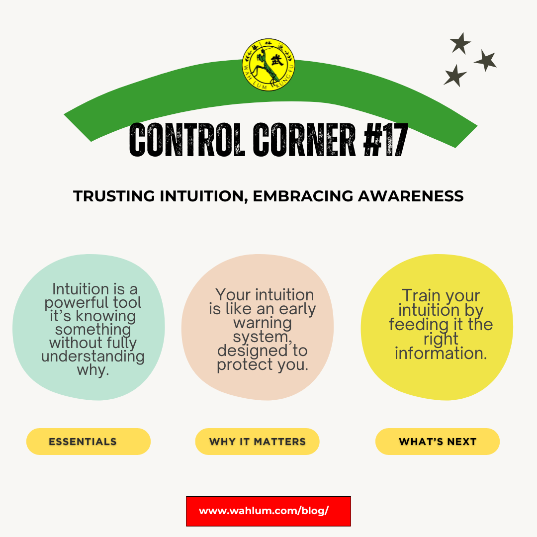 Control Corner 17 from Sifu Oscar: Trusting Intuition, Embracing Awareness - WAH LUM®
